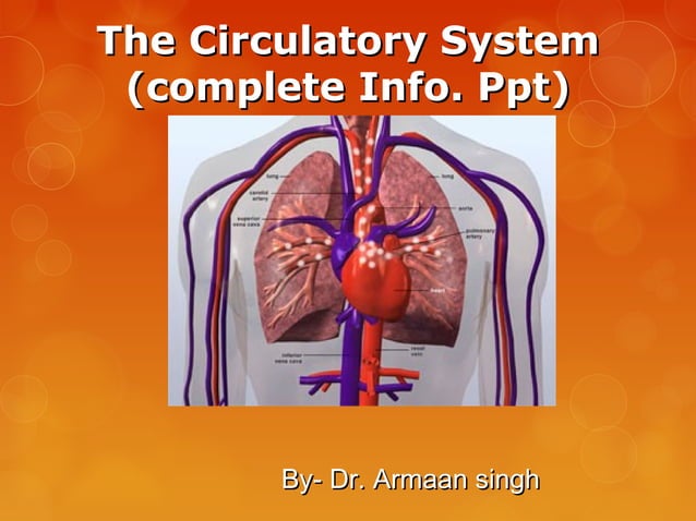The circulatory system complete Info ppt | PPT