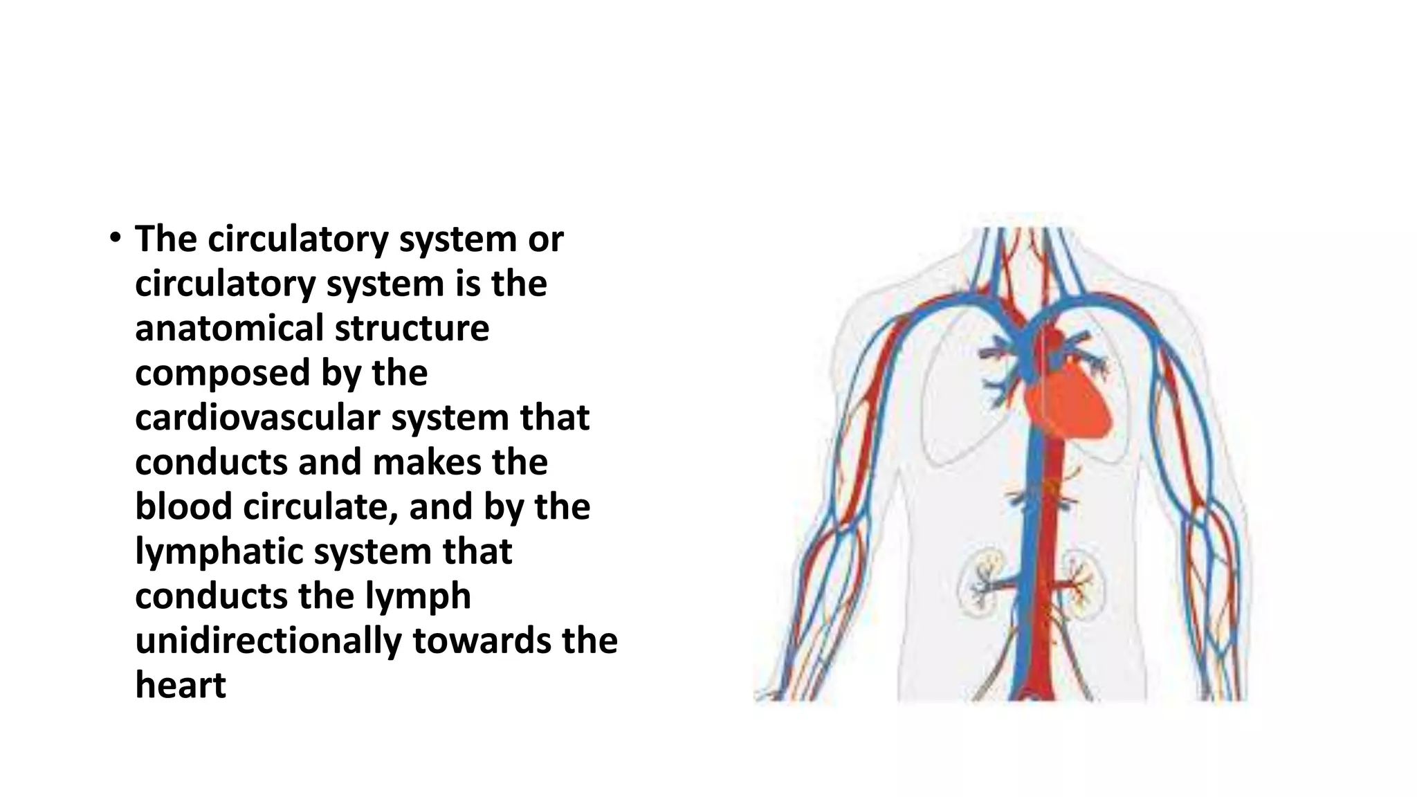 The circulatory system | PPTX