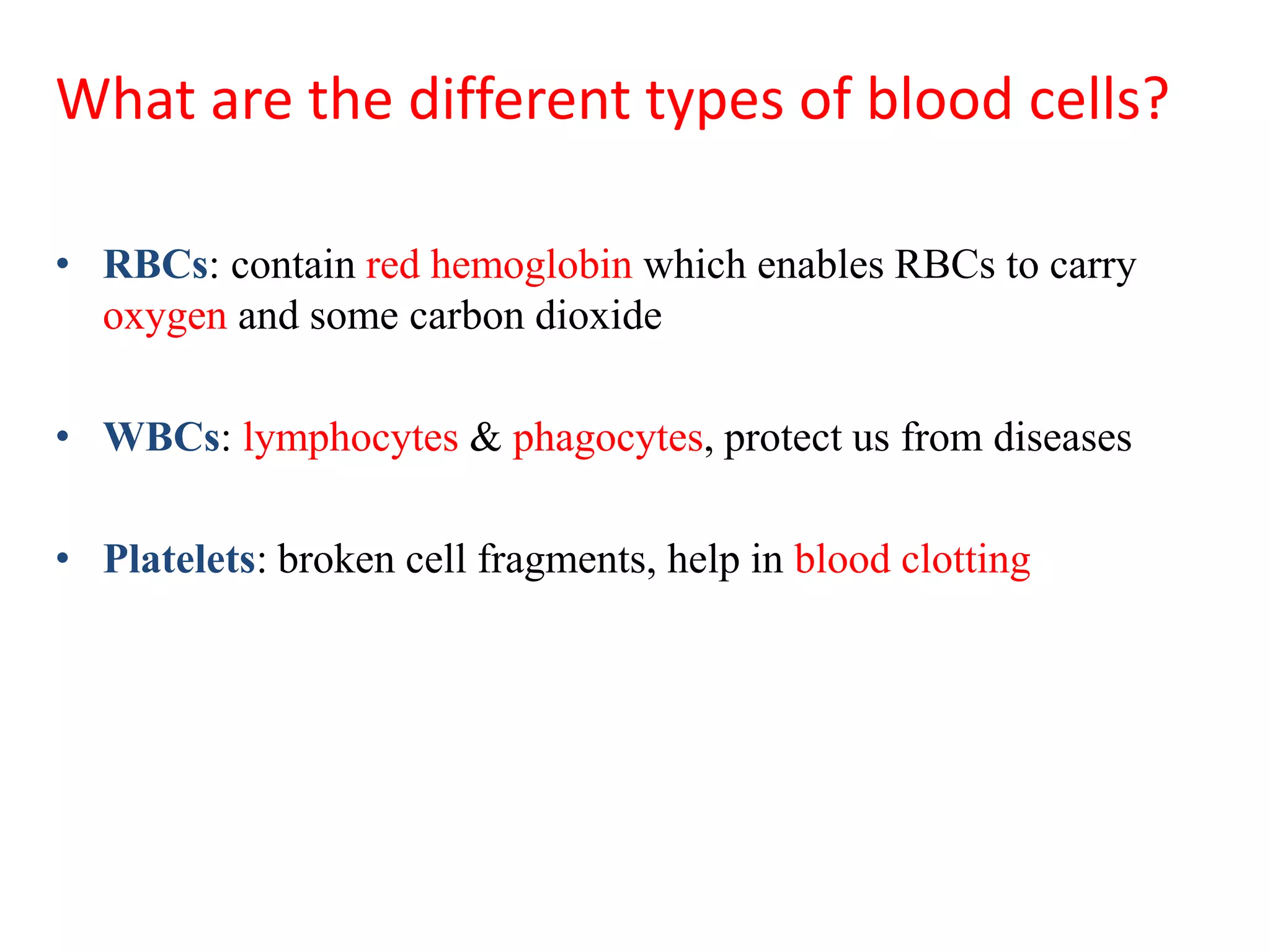 The circulatory system | PPTX