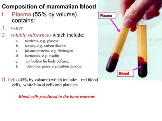 The circulatory system | PPT