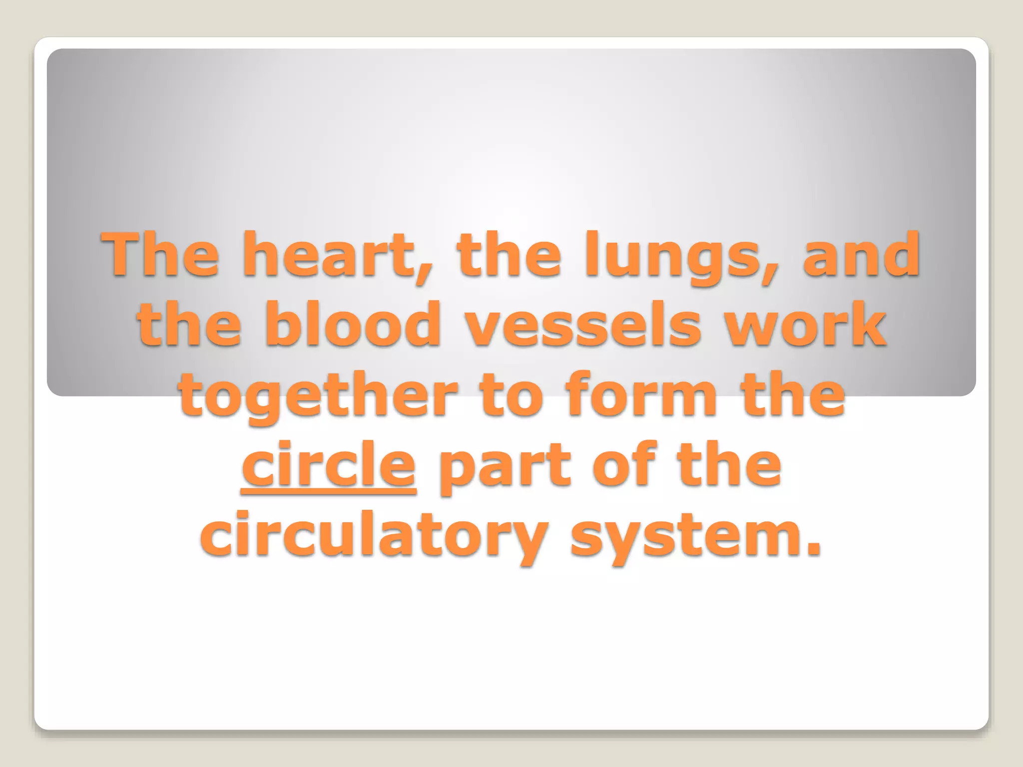 The Circulatory System.ppt