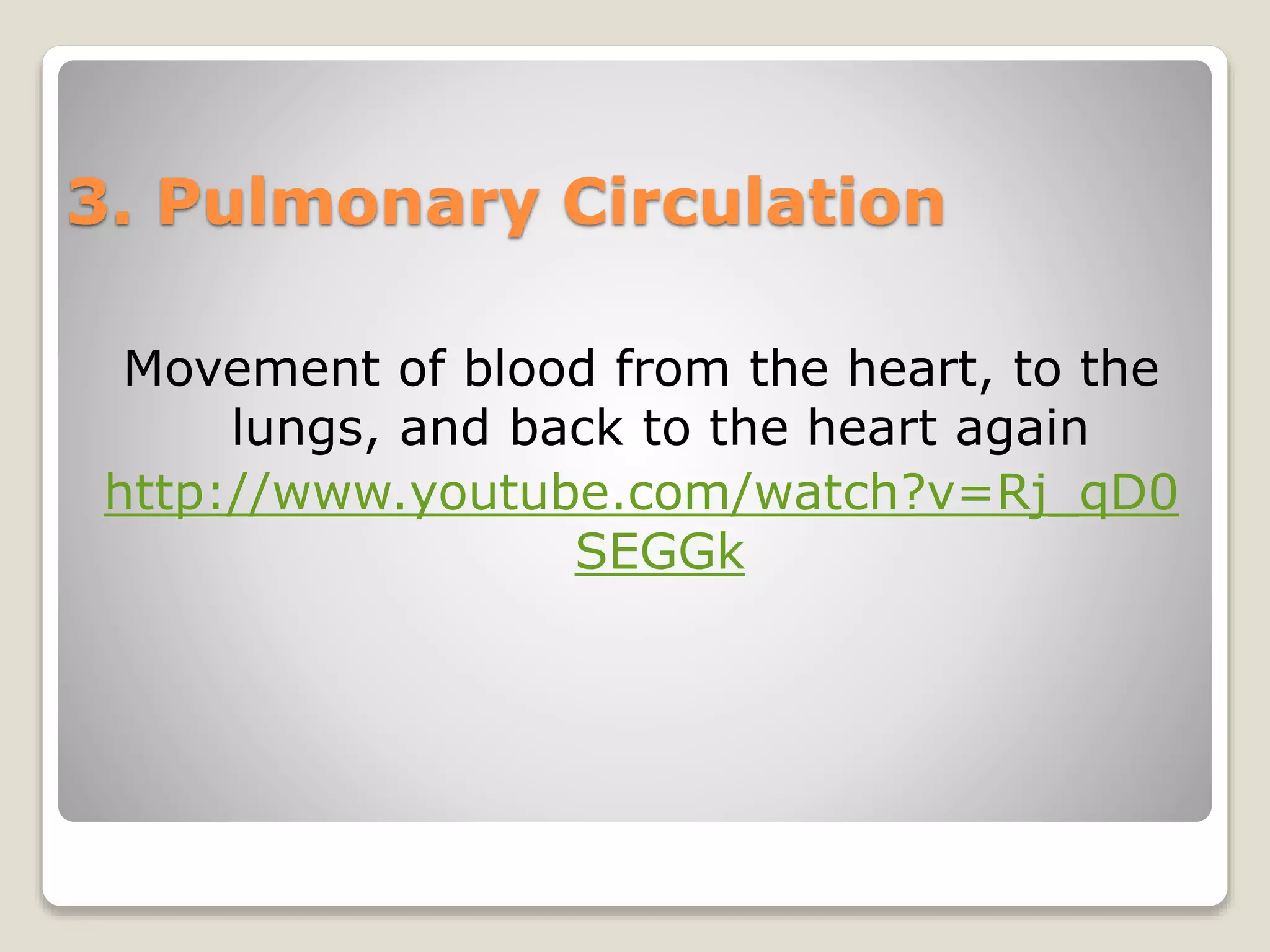 The Circulatory System.ppt