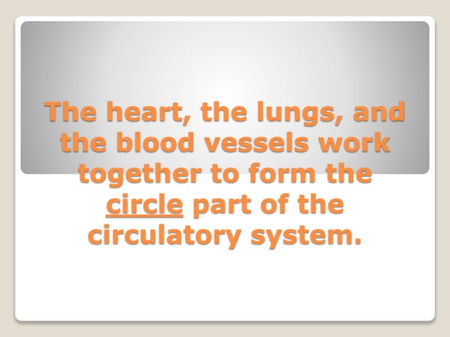 The Circulatory System.ppt