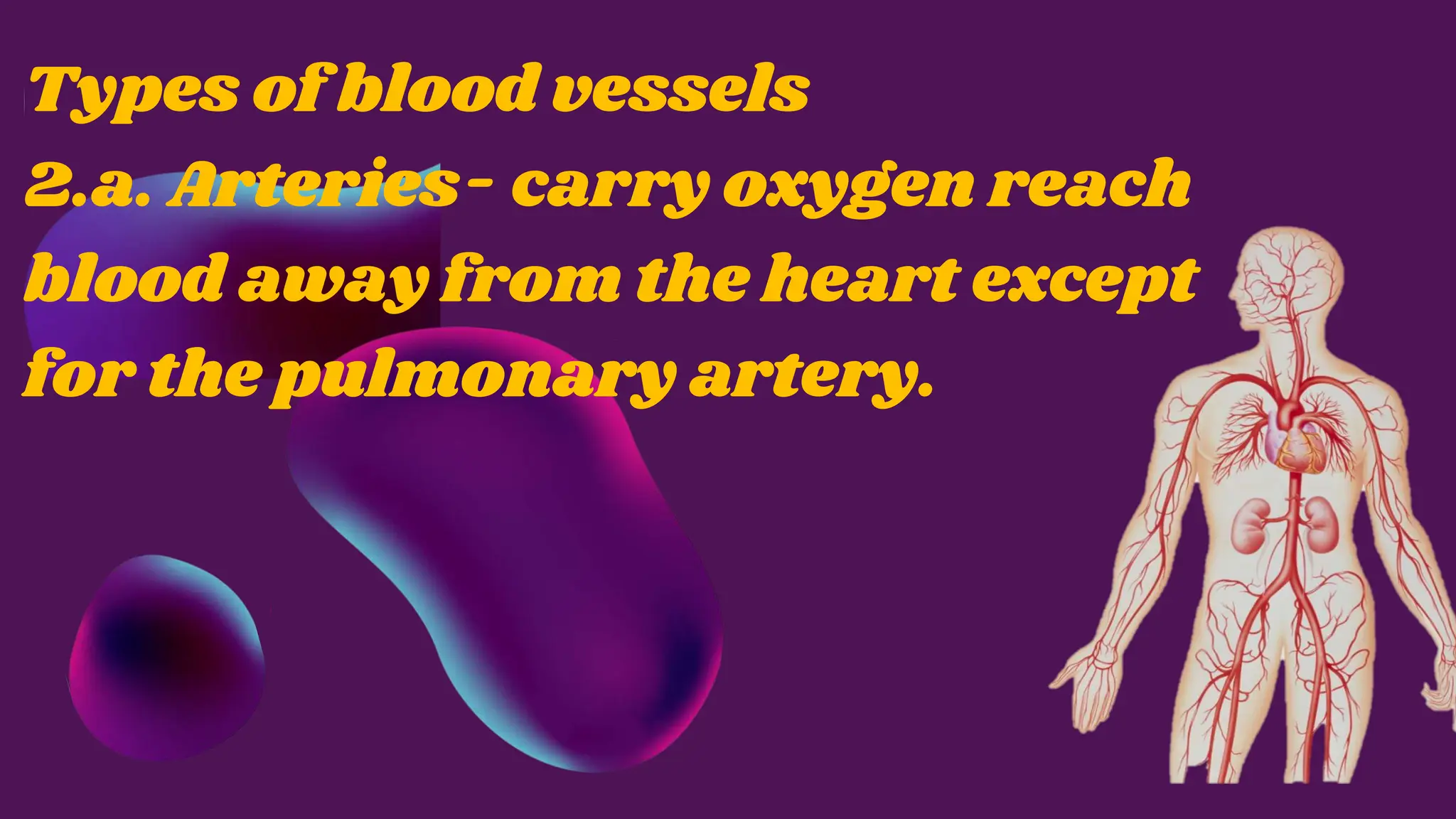 THE CIRCULATORY SYSTEM AND THE FUNCTIONS OF SOME PARTS LIKE THE HEART ...