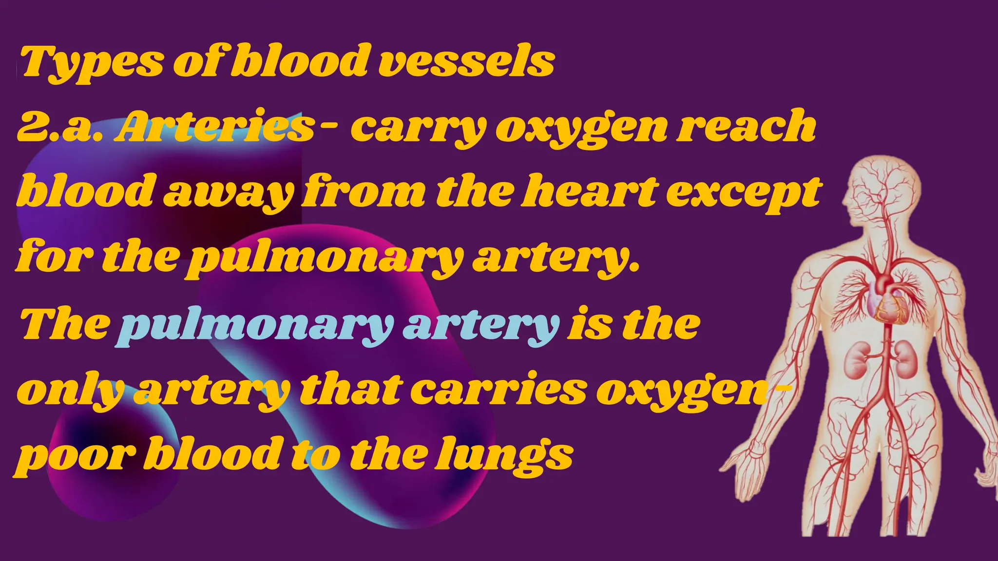 THE CIRCULATORY SYSTEM AND THE FUNCTIONS OF SOME PARTS LIKE THE HEART ...