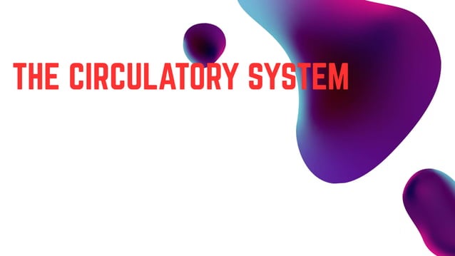 THE CIRCULATORY SYSTEM AND THE FUNCTIONS OF SOME PARTS LIKE THE HEART ...