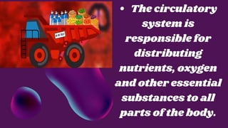 THE CIRCULATORY SYSTEM AND THE FUNCTIONS OF SOME PARTS LIKE THE HEART ...
