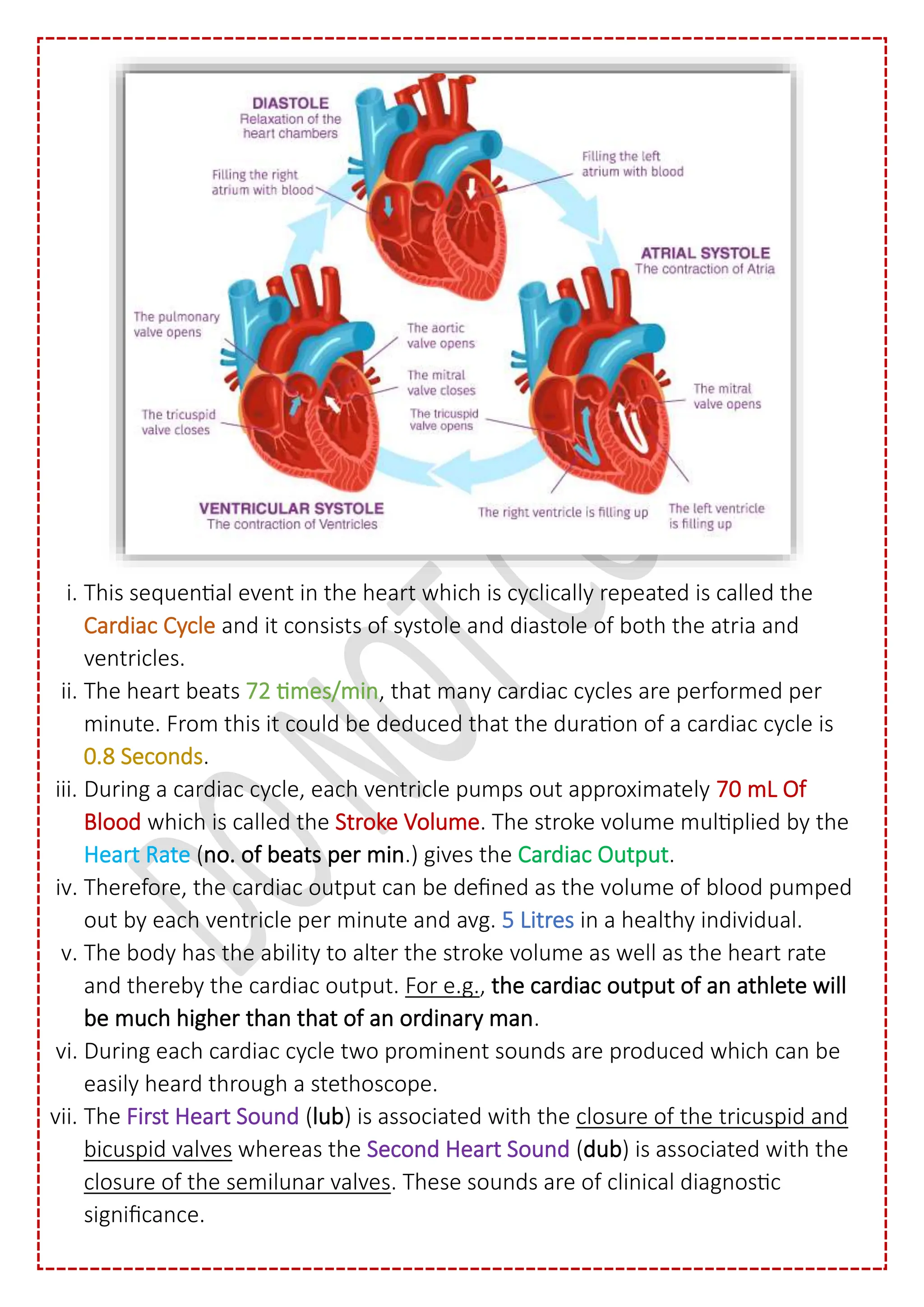 Body Fluids And Circulation Class 11th | PDF