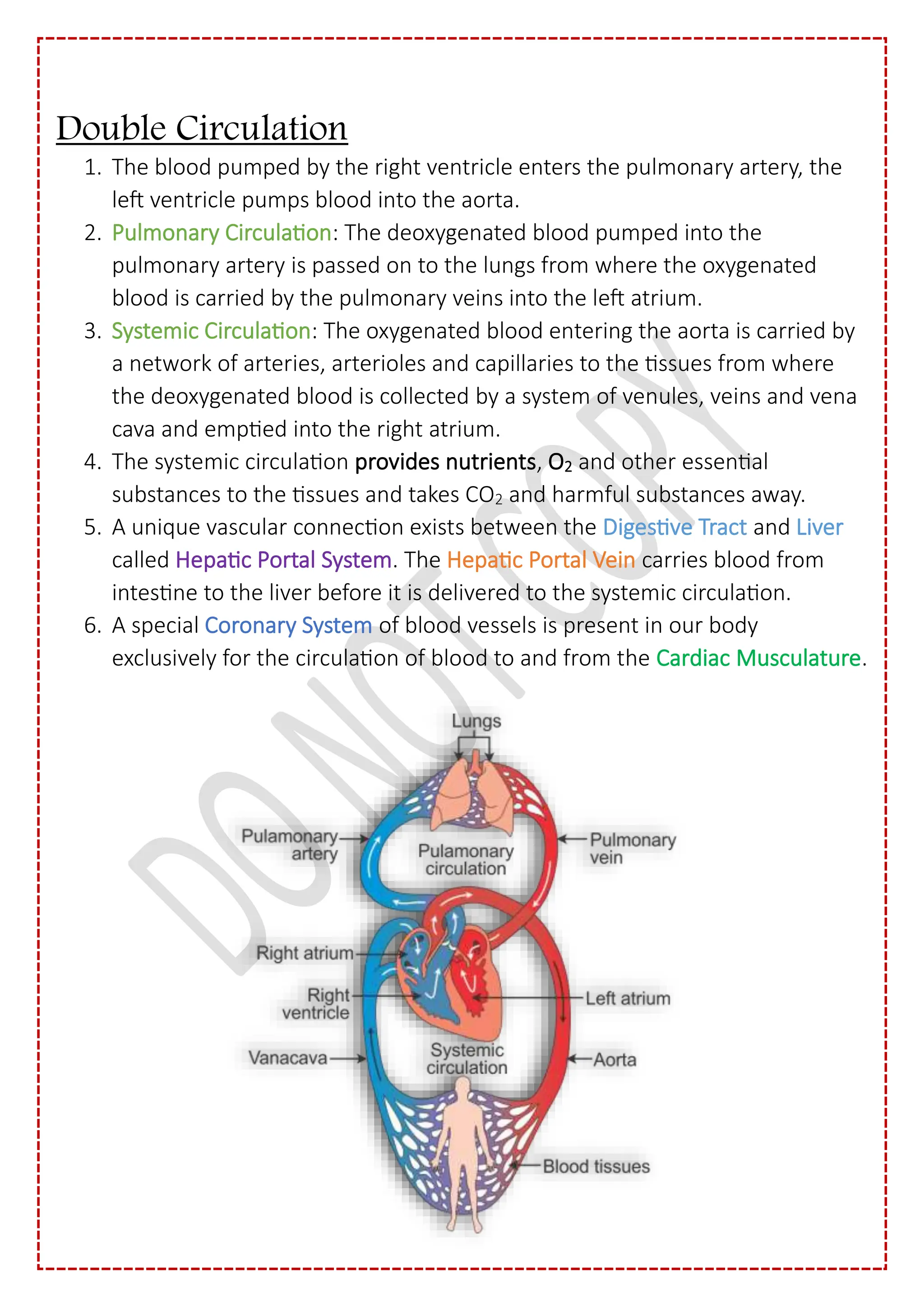Body Fluids And Circulation Class 11th | PDF