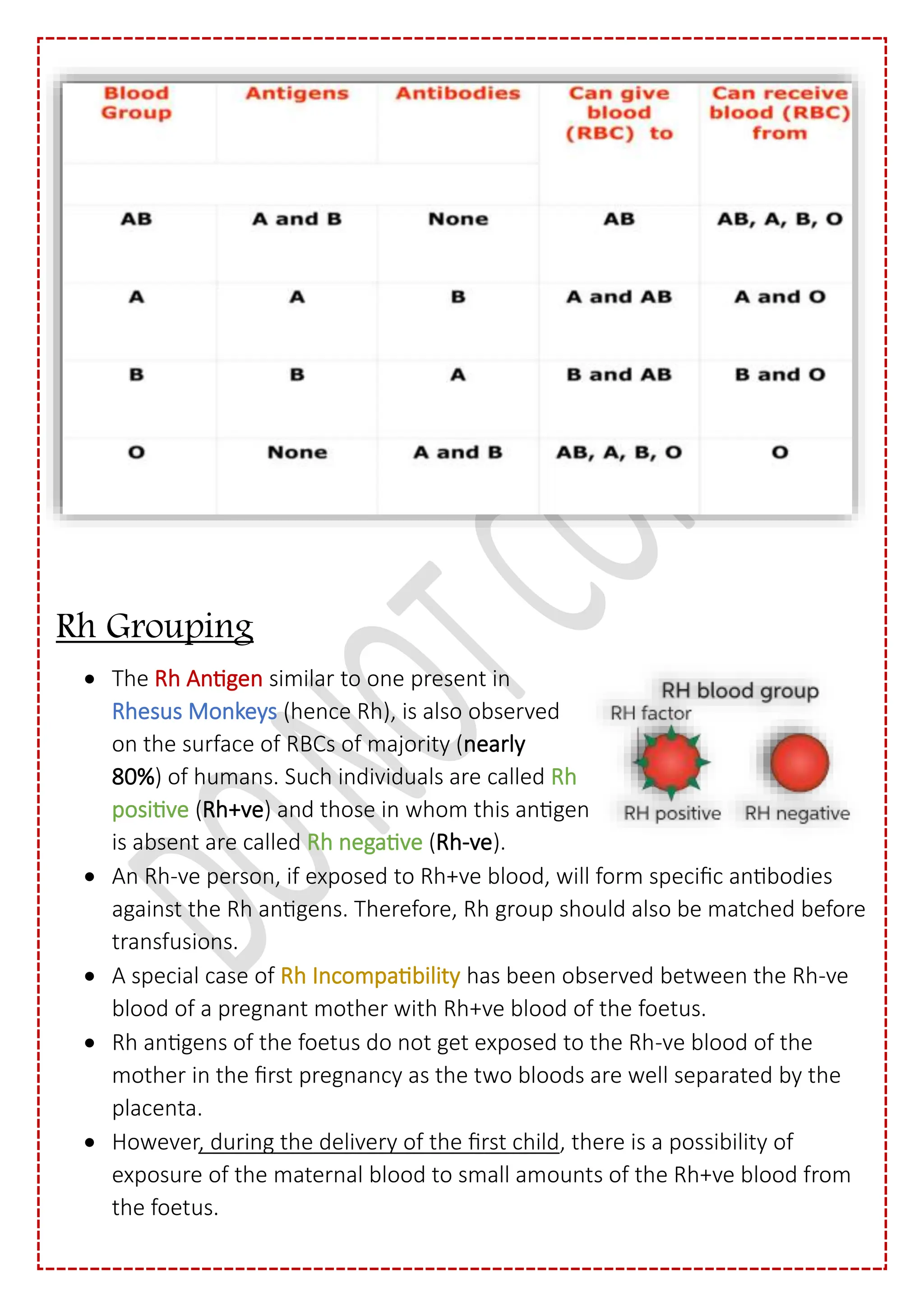 Body Fluids And Circulation Class 11th | PDF
