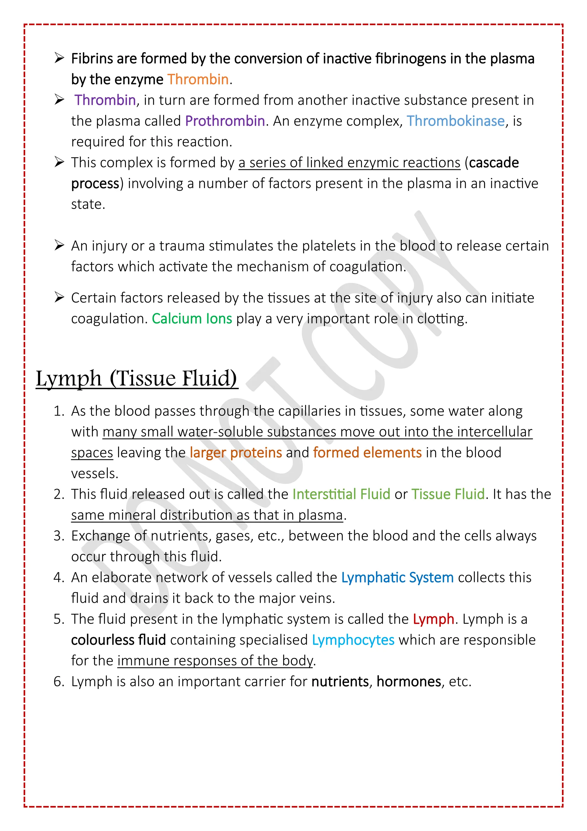 Body Fluids And Circulation Class 11th | PDF