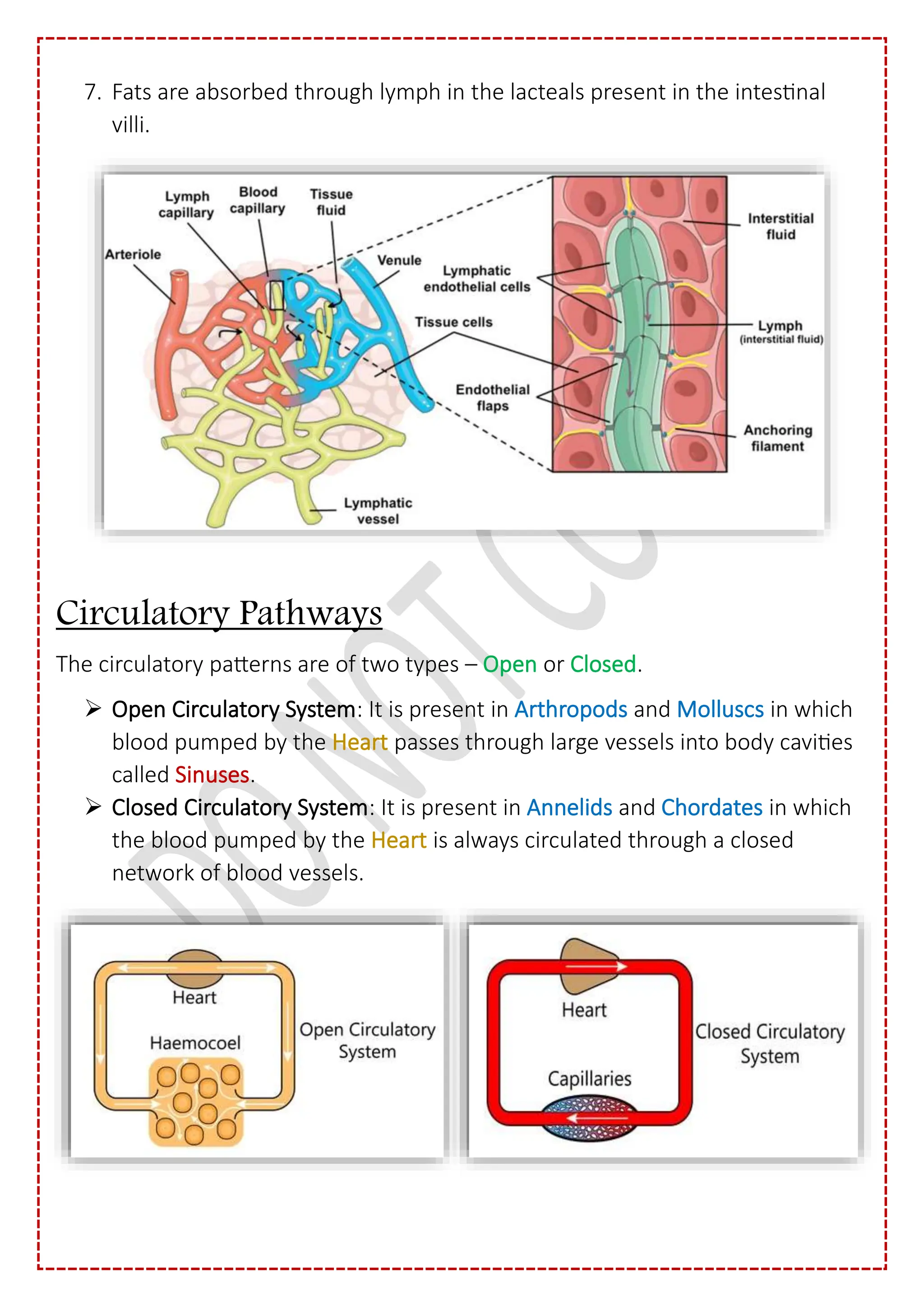 Body Fluids And Circulation Class 11th | PDF