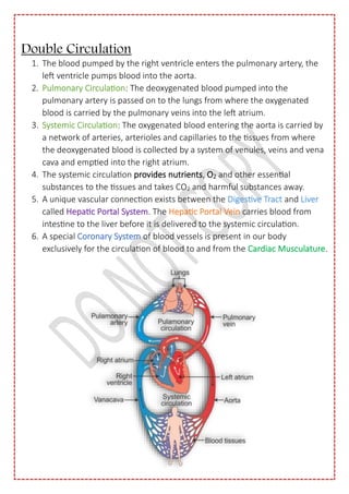 Body Fluids And Circulation Class 11th | PDF