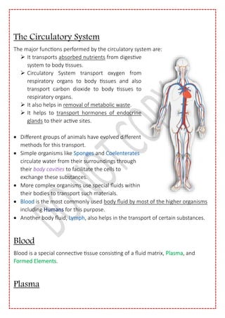 Body Fluids And Circulation Class 11th | PDF