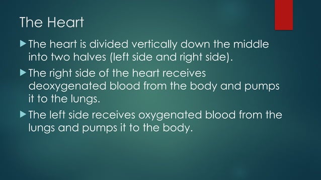 The_circulatory_system parts and function of circulatory ssystem.pptx