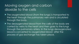 The_circulatory_system parts and function of circulatory ssystem.pptx