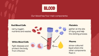 The Circulatory System - The Role of Heart, Blood and Blood Vessels.pdf
