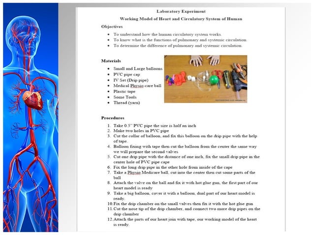 SCIENCE LESSON THE CIRCULATORY SYSTEM .pptx