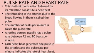 Components of the Human Circulatory System.pptx