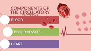 Components of the Human Circulatory System.pptx