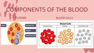Components of the Human Circulatory System.pptx