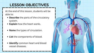 The Circulatory System - The complete notes.pdf