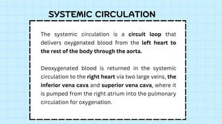 The Circulatory System - The complete notes.pdf