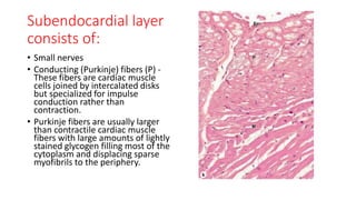 Histology of Circulatory system | PPTX