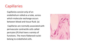 Histology of Circulatory system | PPTX