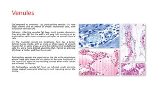 Histology of Circulatory system | PPTX