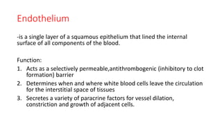 Histology of Circulatory system | PPTX