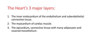 Histology of Circulatory system | PPTX