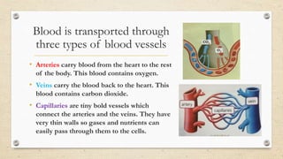 Steps of the Circulatory System | PPT