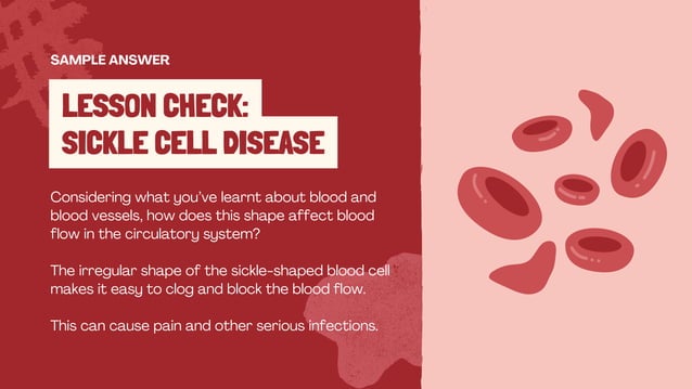 El sistema circulatorio con sus estructuras principales | PDF