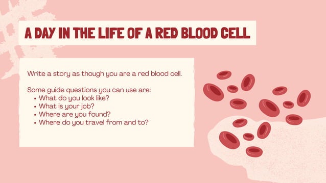 El sistema circulatorio con sus estructuras principales | PDF