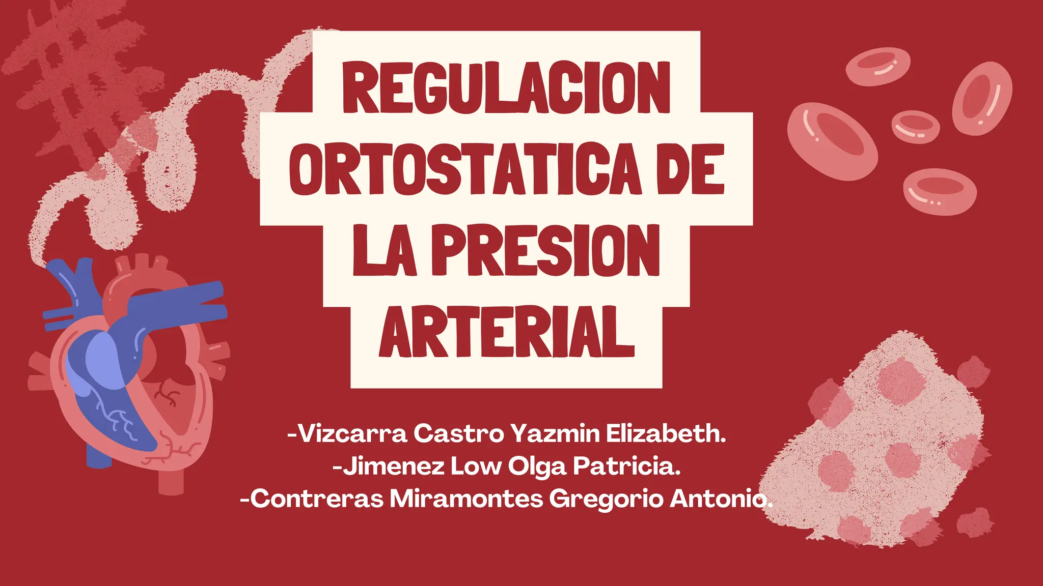 Regulacion Ortostatica de la presion arterial | PDF