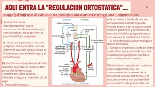 Regulacion Ortostatica de la presion arterial | PDF