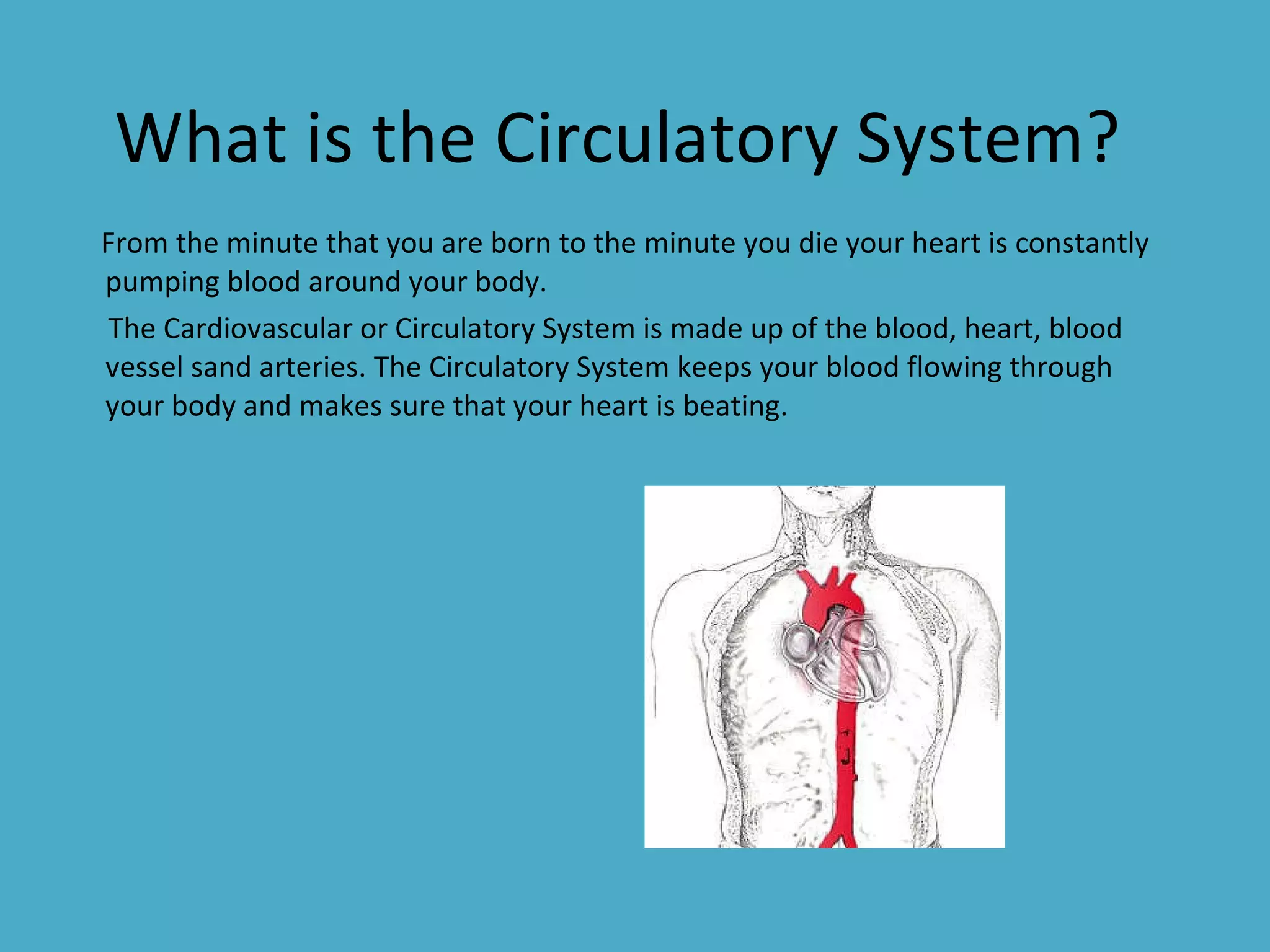 The circulatory system | PPT