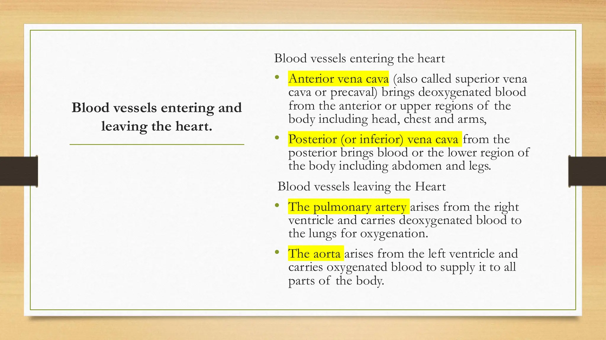 The Circulatory System pawan eureka.docx 1.pdf