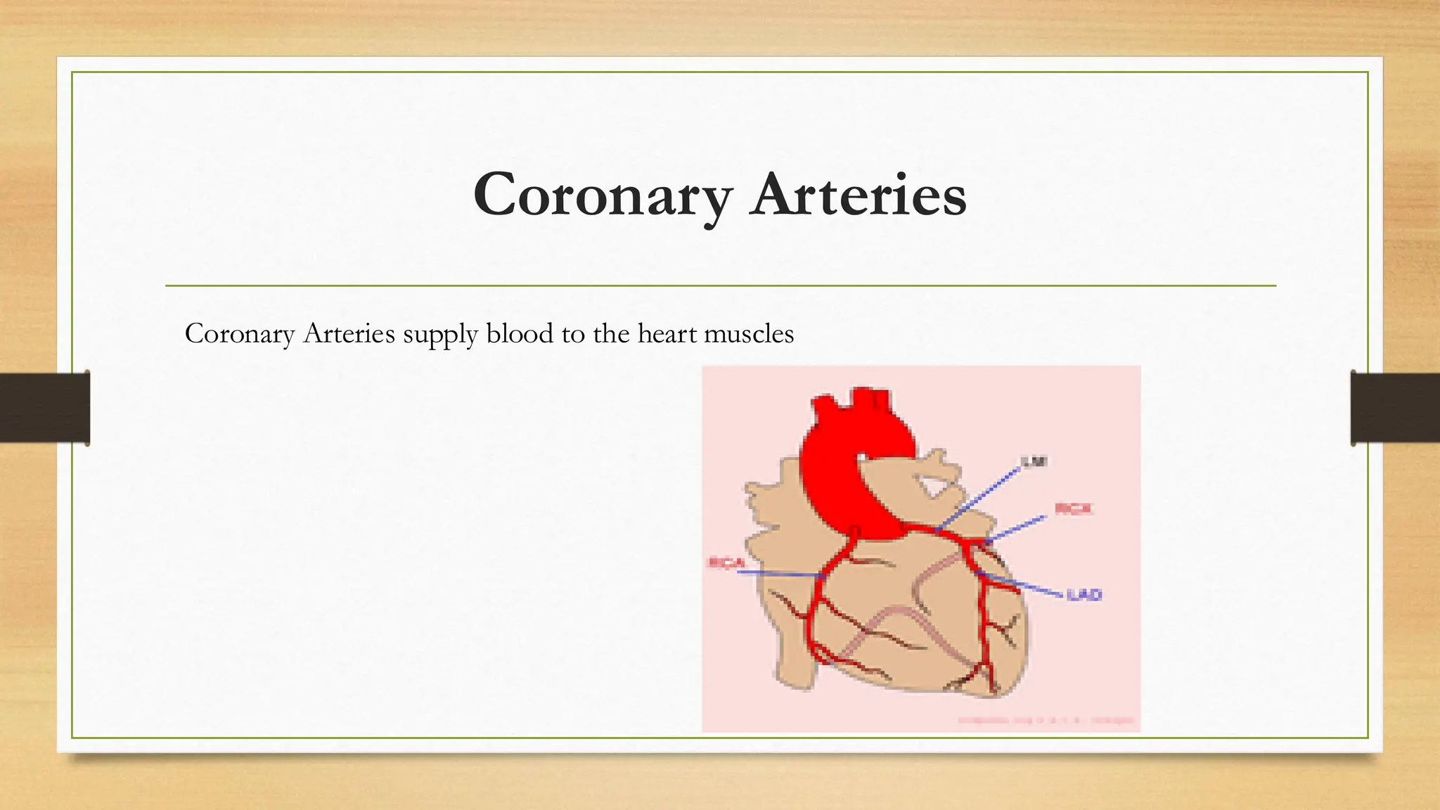 The Circulatory System pawan eureka.docx 1.pdf