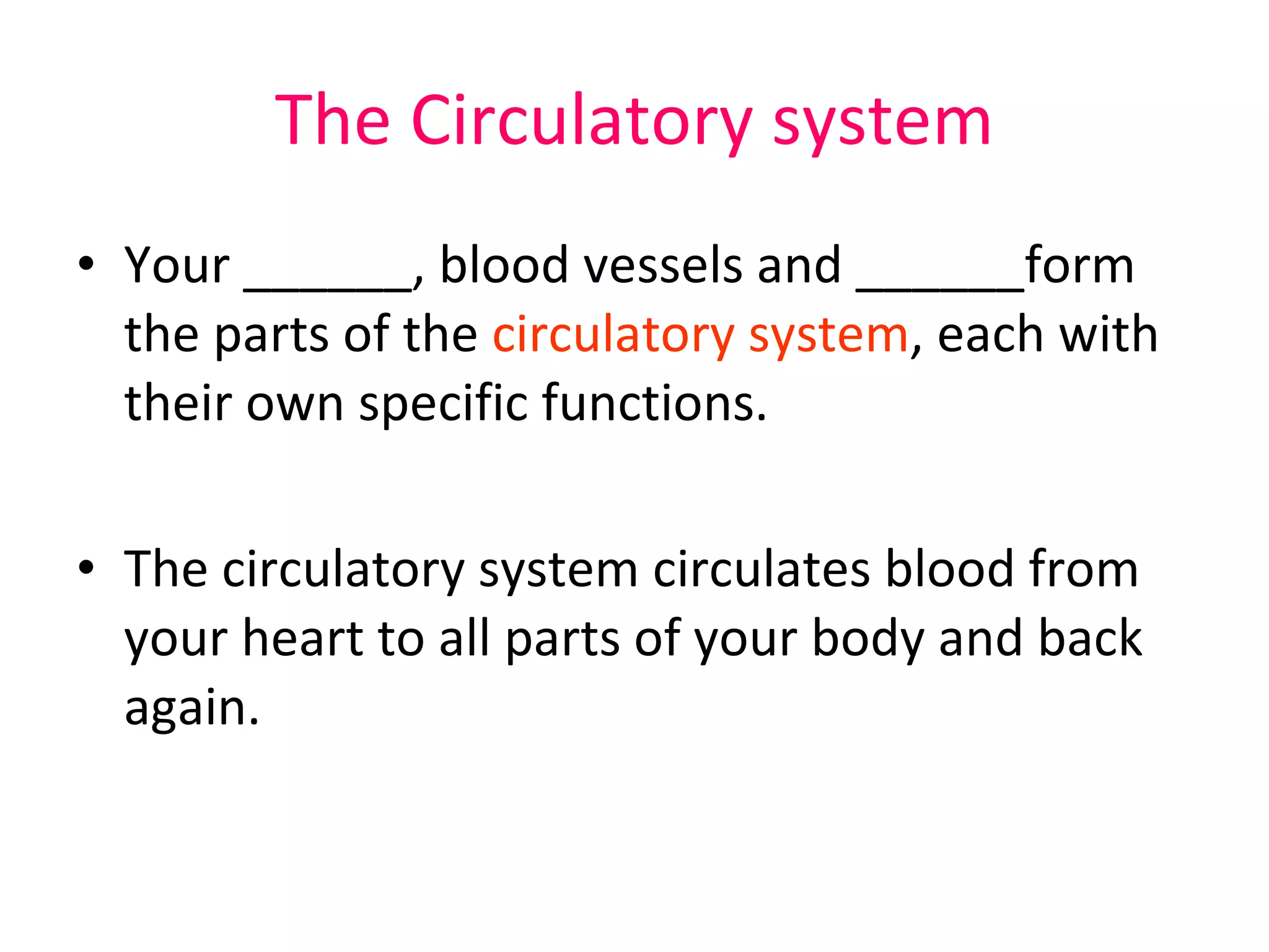The Circulatory System | PPT
