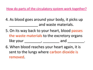 The Circulatory System | PPT | Heart and Cardiovascular Diseases ...