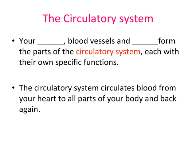 The Circulatory System | PPT