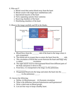 The Circulatory System Worksheet.pdf