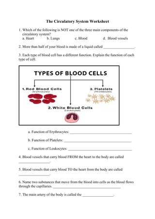 Circulatory System Worksheet