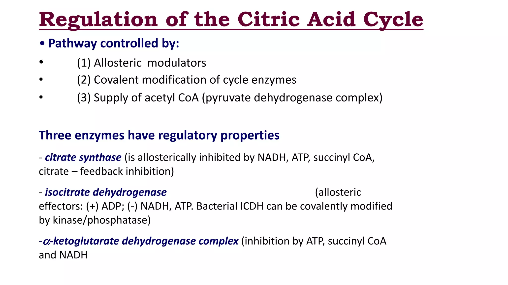 The citric acid cycle | PPTX
