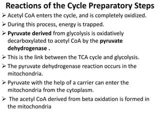 The citric acid cycle | PPTX