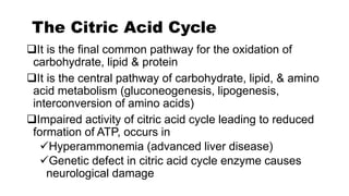 The citric acid cycle | PPTX