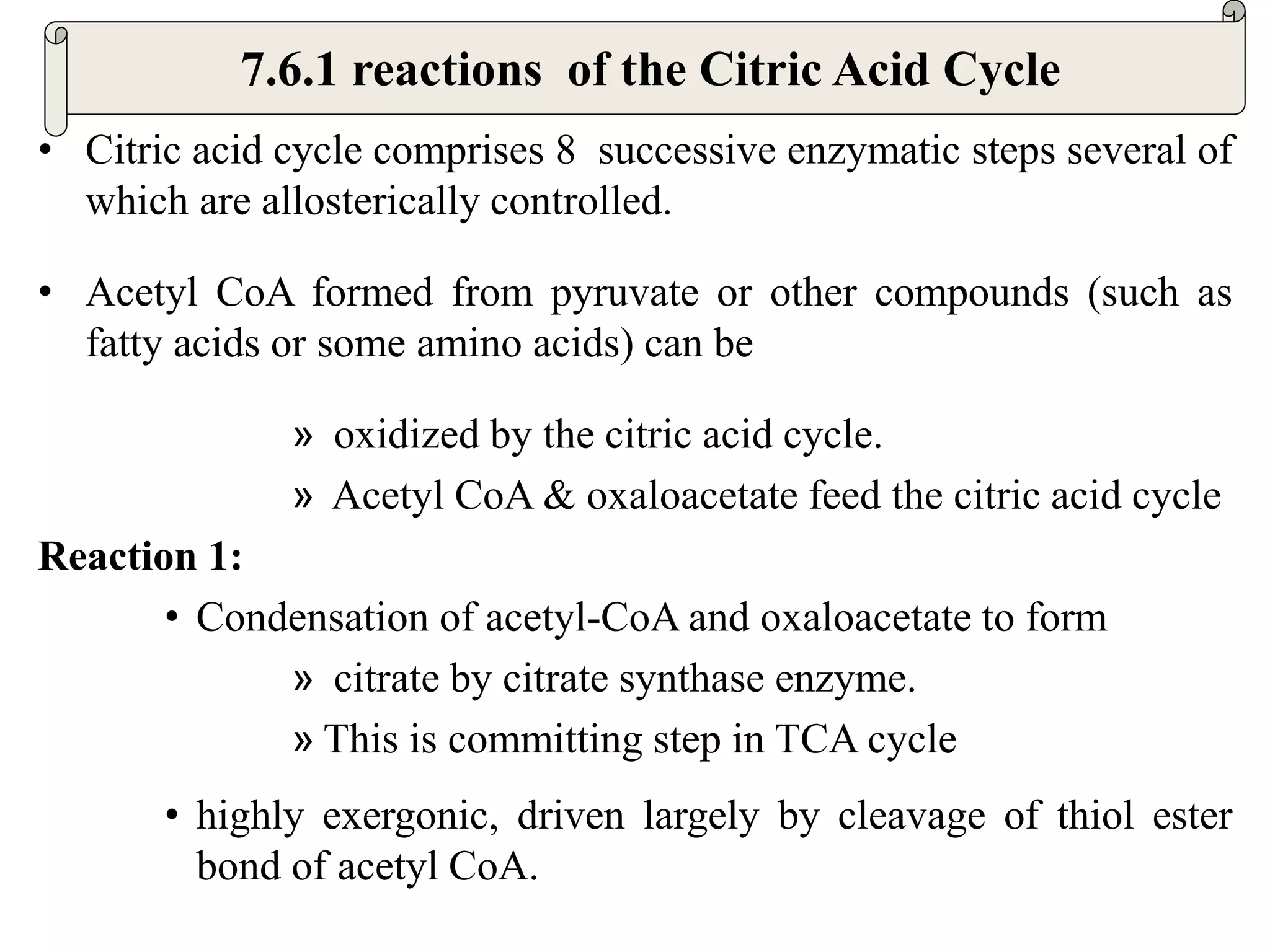 The_citric_acid_cycle[1].pdf