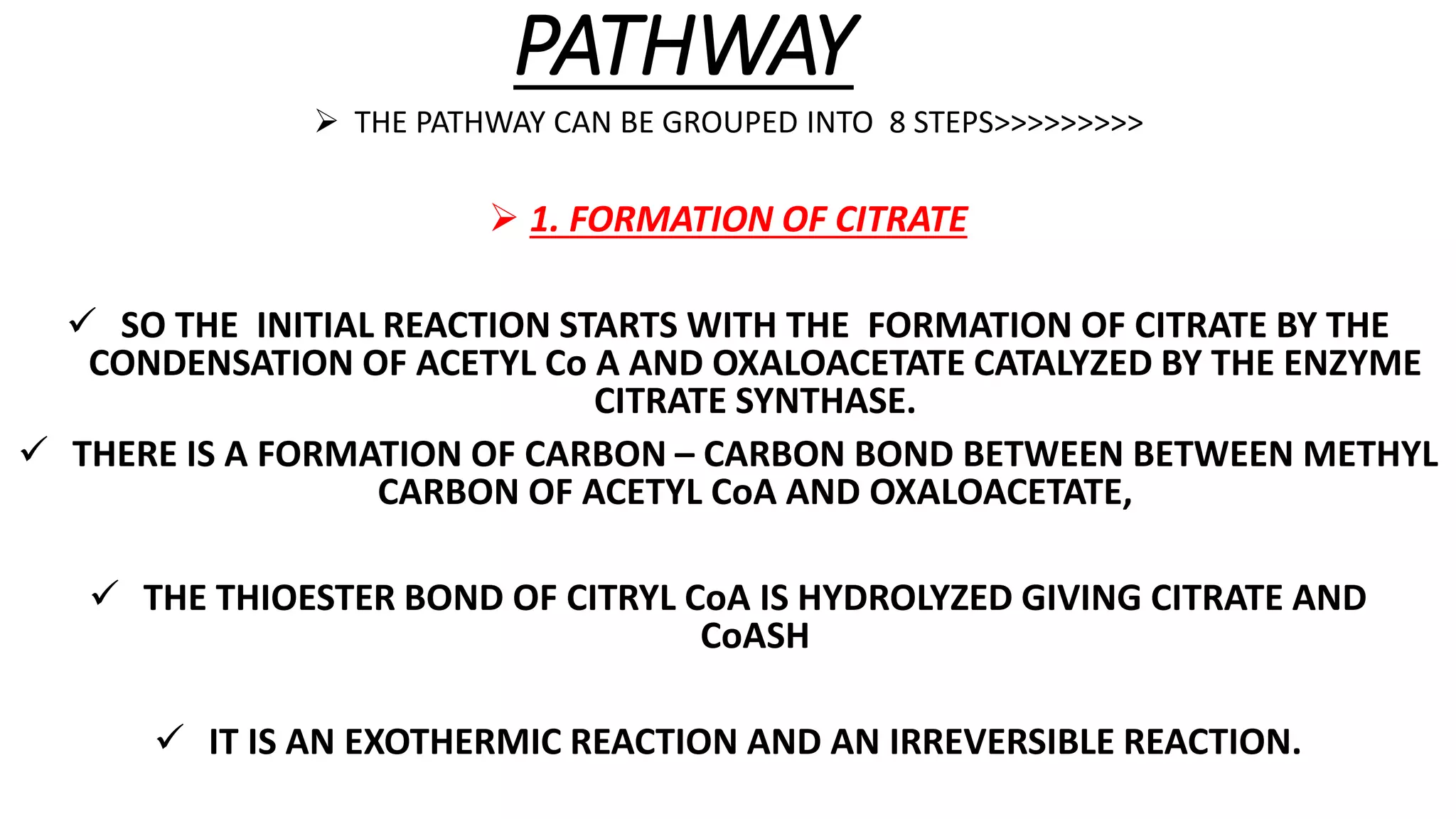 The citric acid cycle | PDF